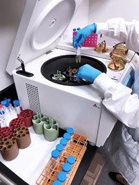 Biobanque institutionnelle